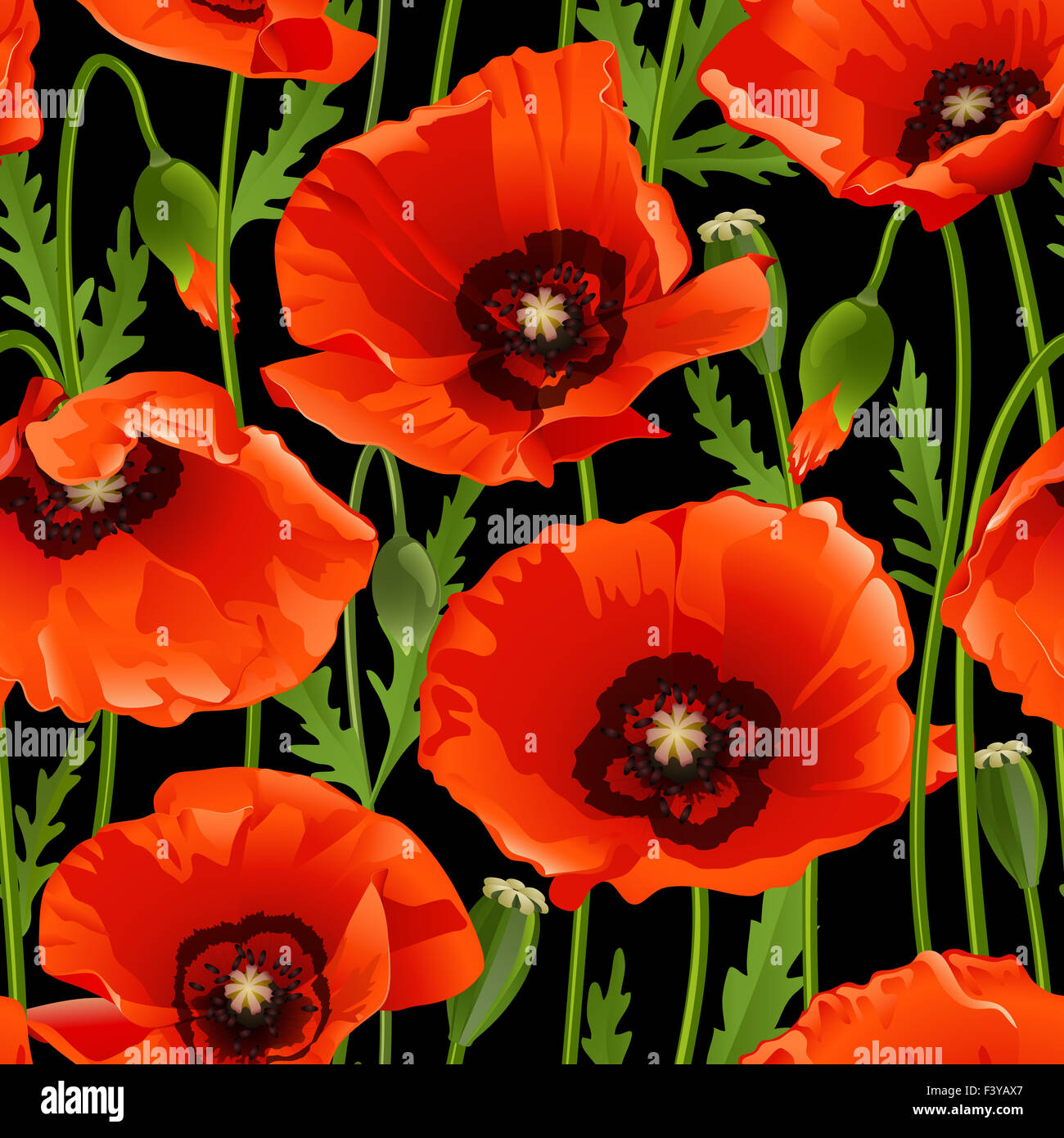 Poppy seamless pattern Stock Photo - Alamy