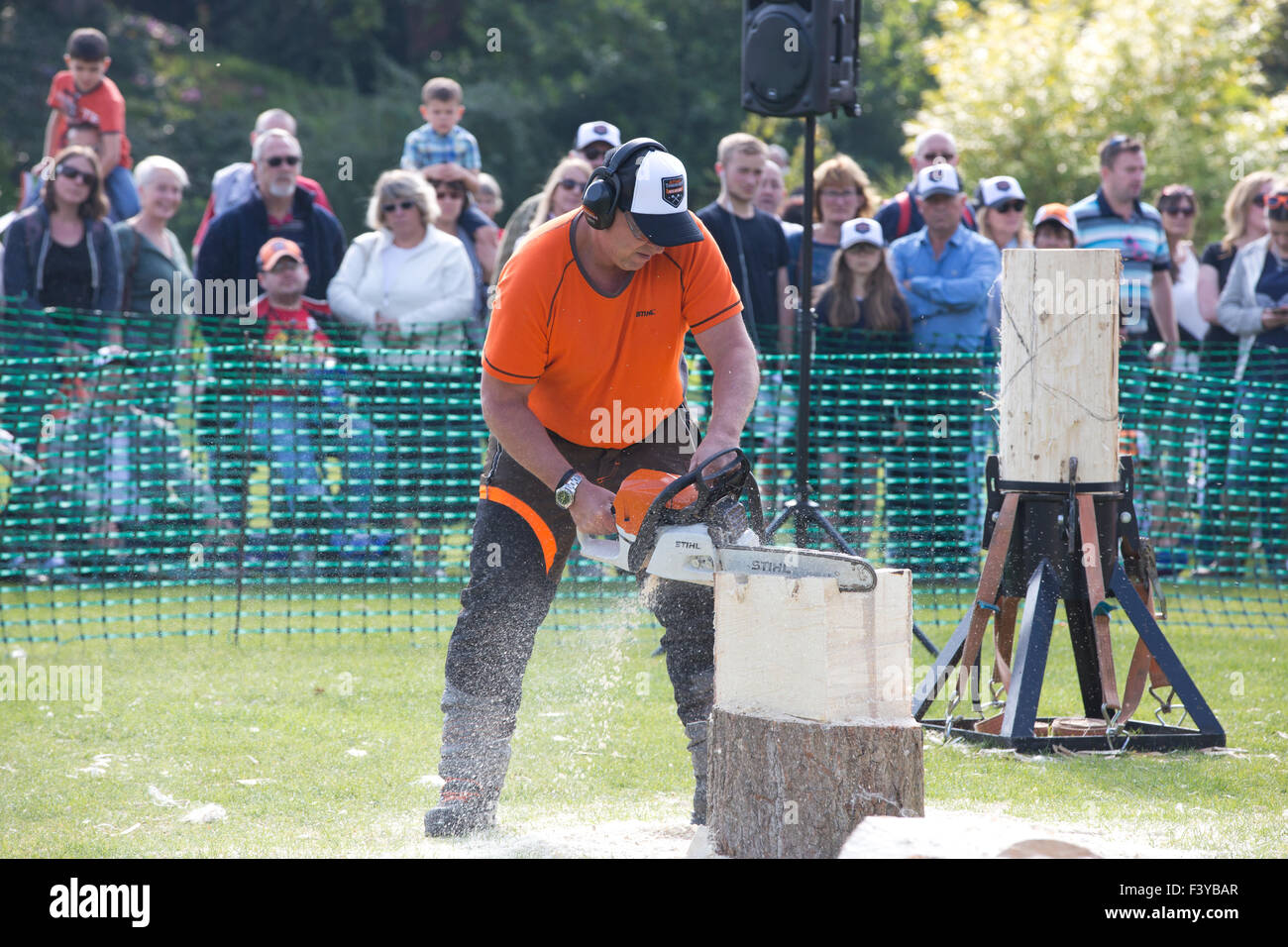 British lumberjacks show of their skills with STIHL German manufacturer ...