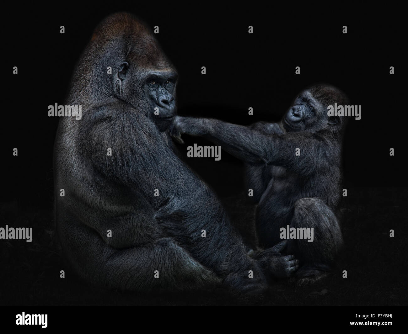 Left hook hi-res stock photography and images - Alamy