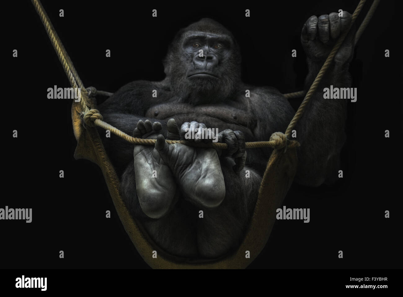 eat me! . . . I´m blue Stock Photo - Alamy