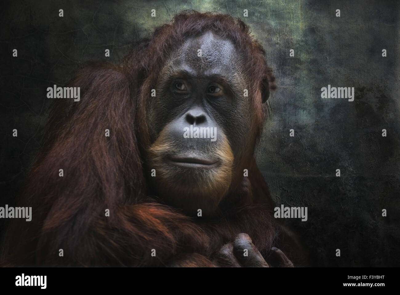 Big mama hi-res stock photography and images - Alamy