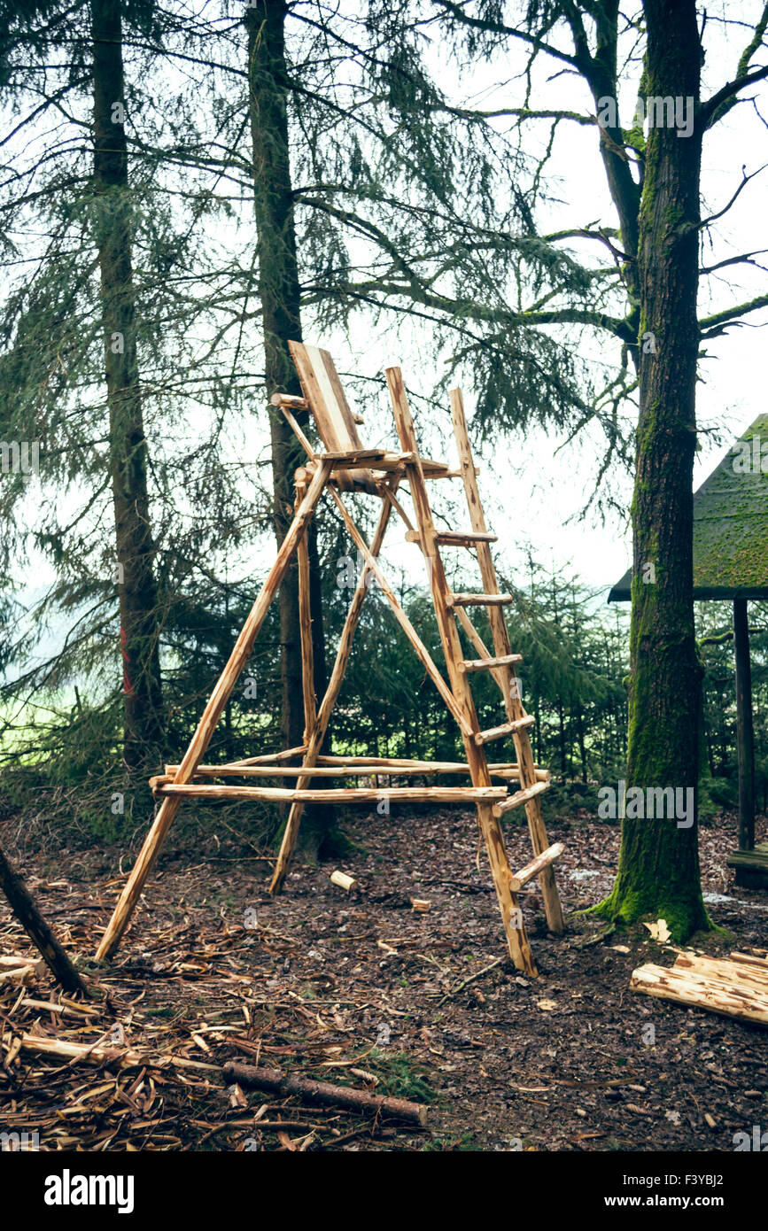 Forest level hi-res stock photography and images - Alamy