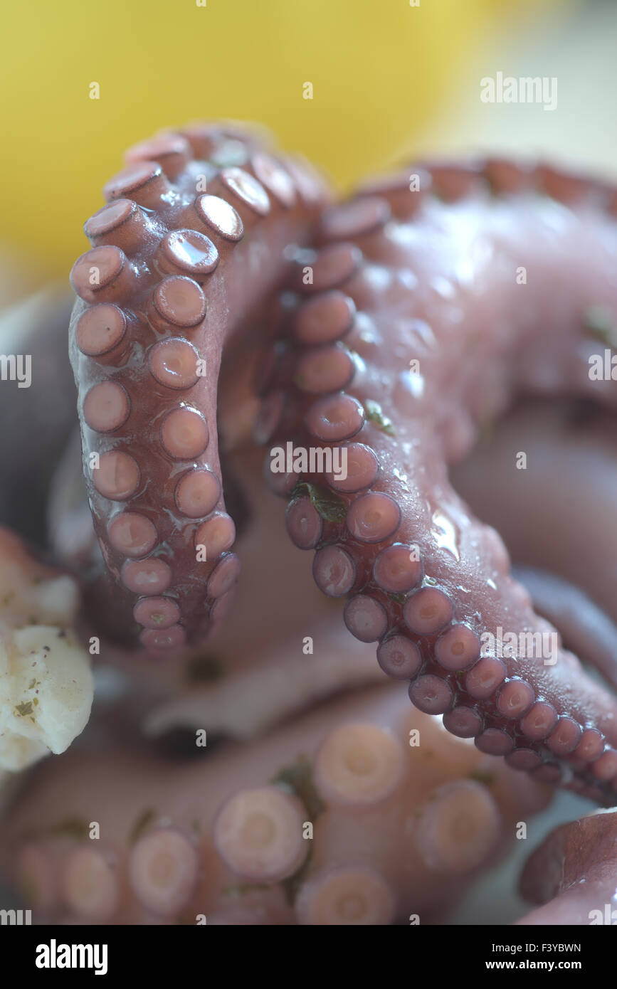 Fleischig High Resolution Stock Photography and Images - Alamy