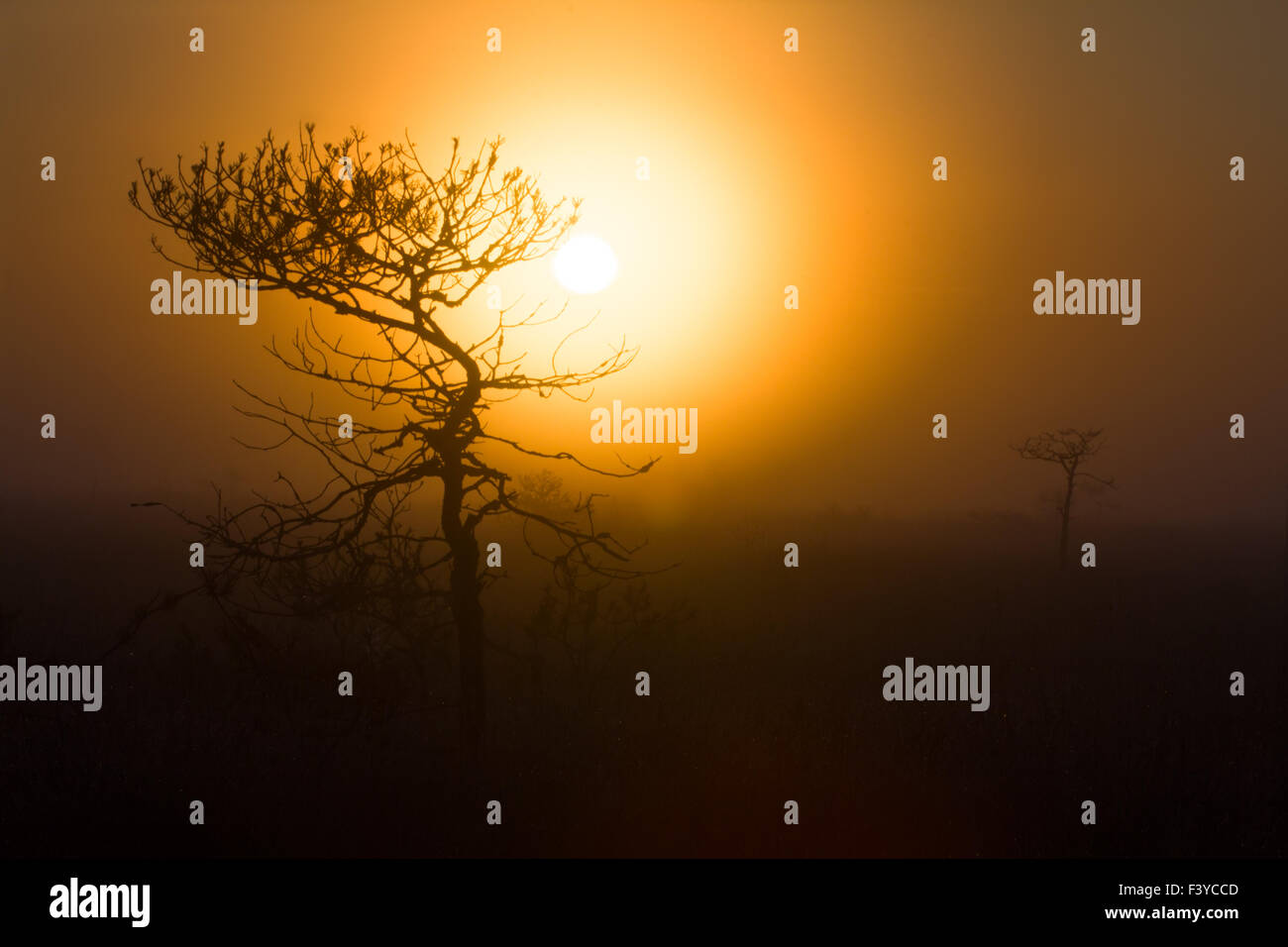 Open spaces hi-res stock photography and images - Alamy