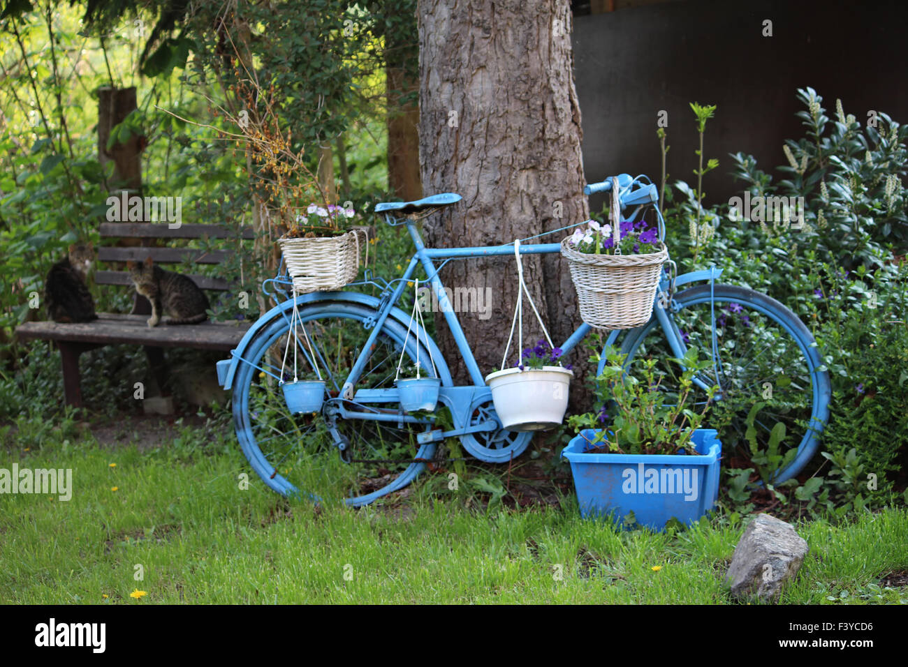 Bike blue hi-res stock photography and images - Alamy