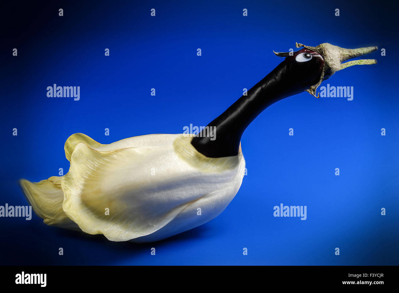 Bio duck hi-res stock photography and images - Alamy