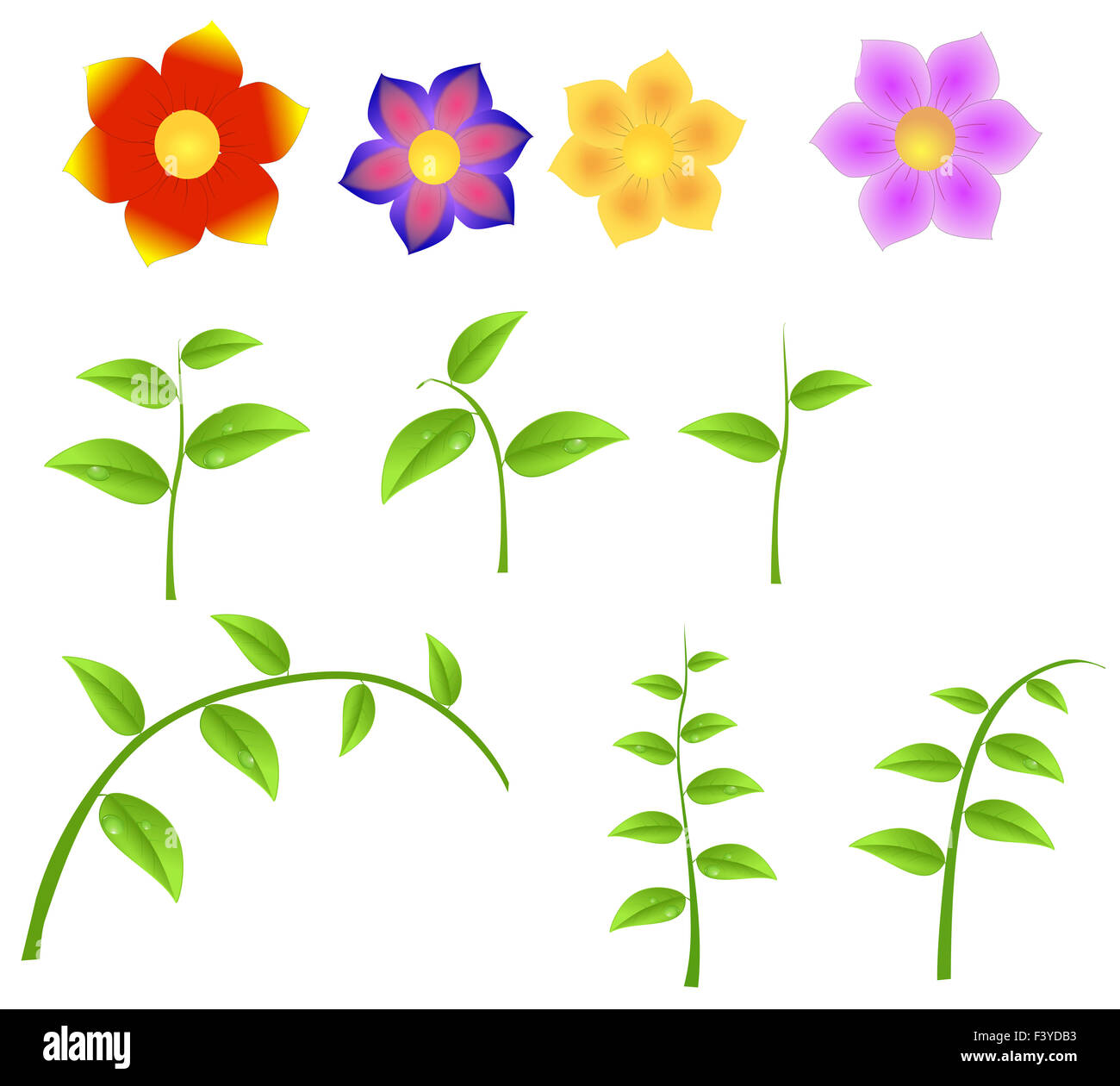 Stalks of flowers hi-res stock photography and images - Alamy