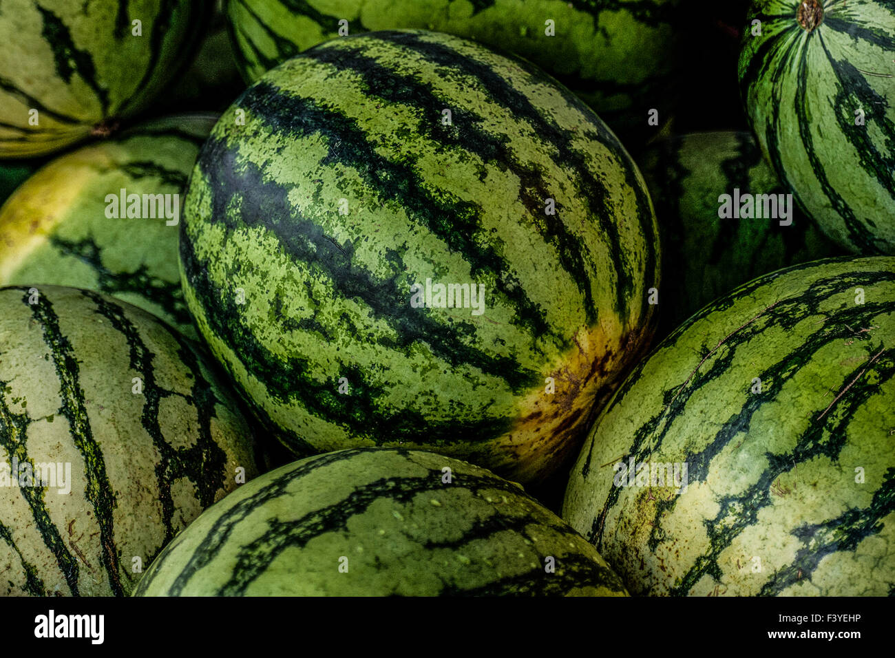 Grune melone hi-res stock photography and images - Alamy