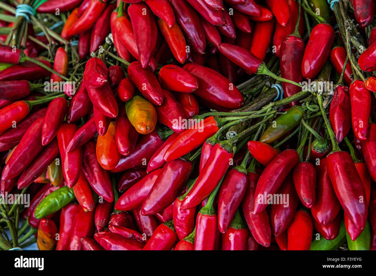 Hot lust hi-res stock photography and images - Alamy