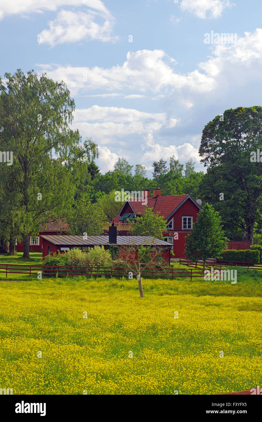 Springtime in southern sweden Stock Photo - Alamy