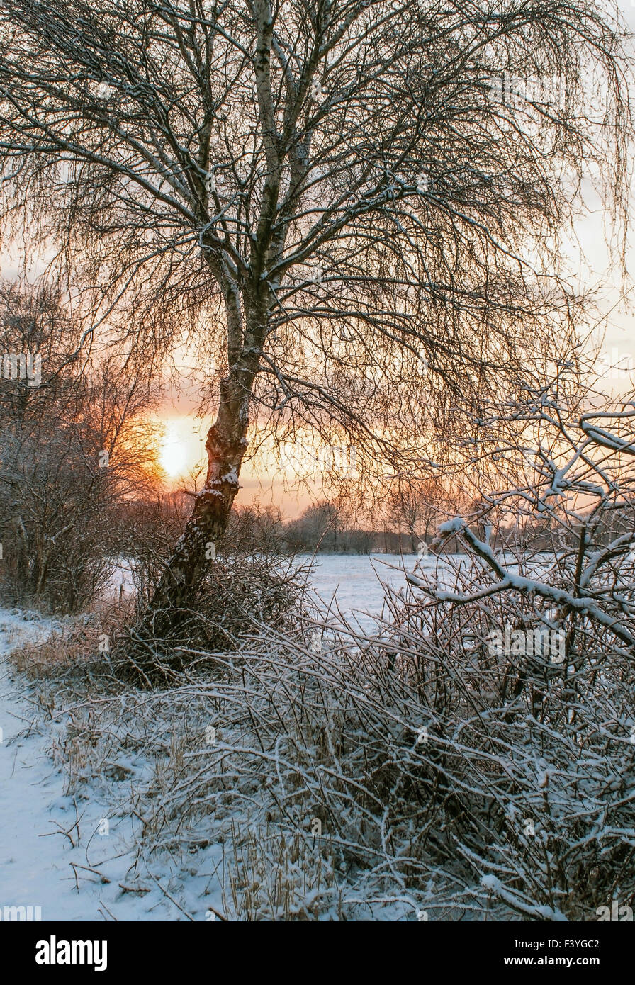 Turf moor view hi-res stock photography and images - Alamy