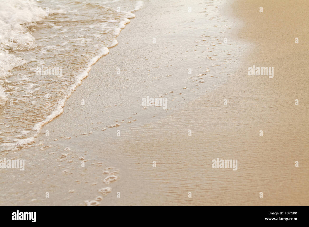 Summer exotic sandy beach hi-res stock photography and images - Alamy