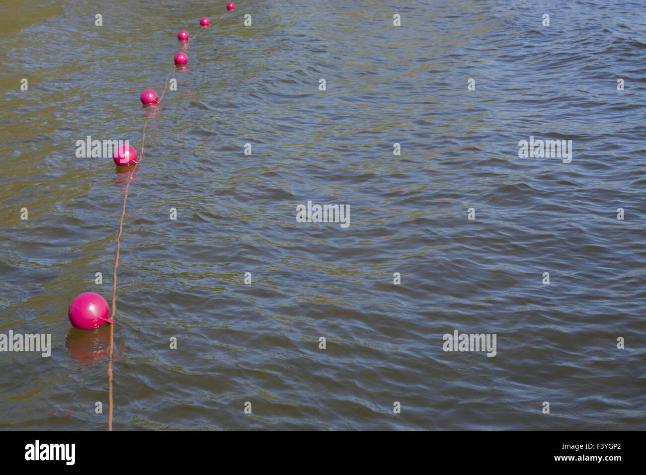 Pink buoys on lake water Stock Photo - Alamy