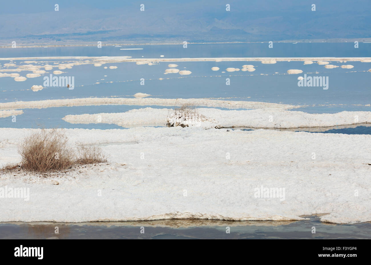 Dead arab hi-res stock photography and images - Alamy