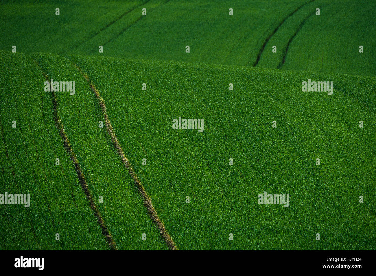 field structures Stock Photo - Alamy