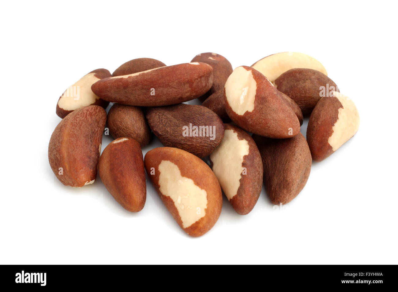 Brazil nut pod hi-res stock photography and images - Alamy