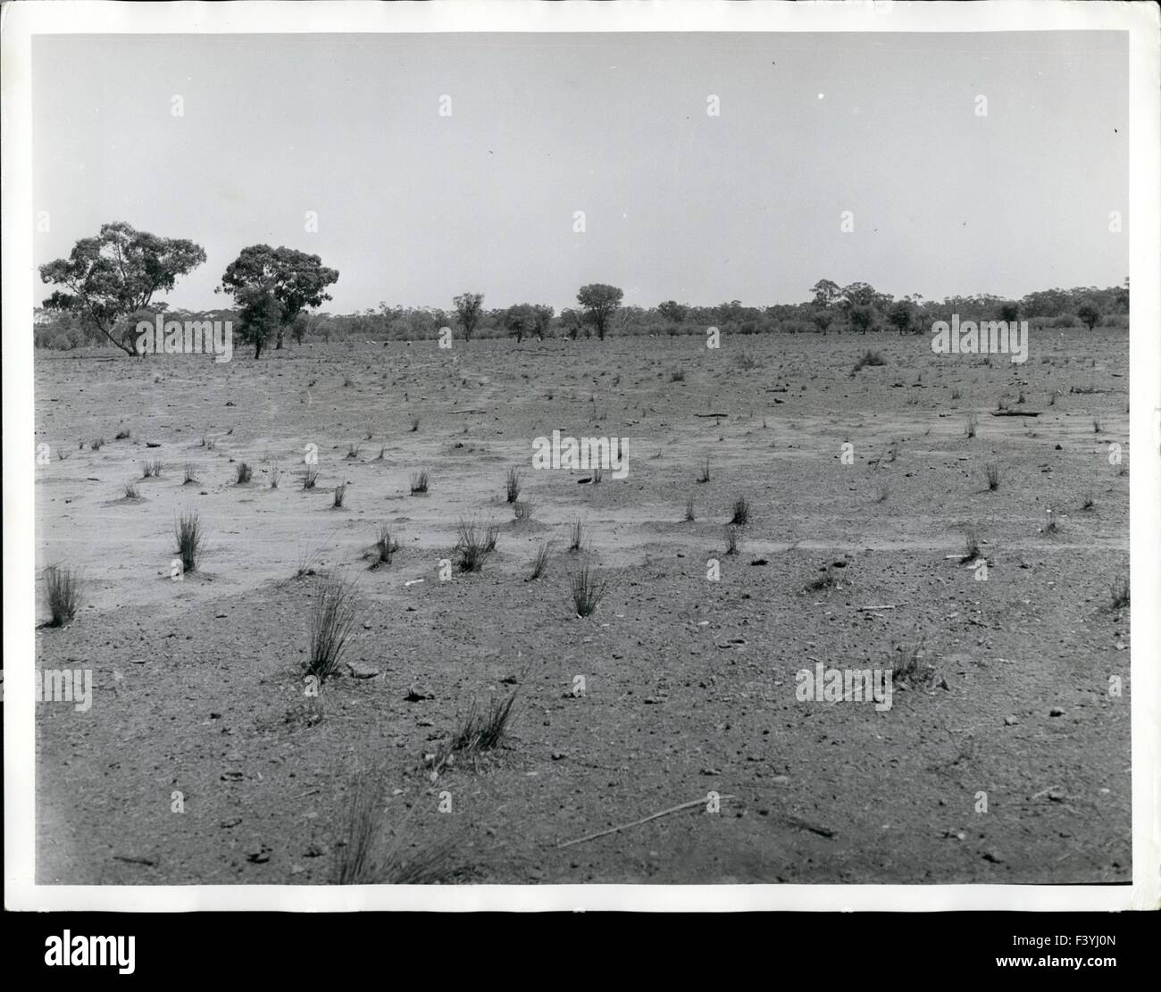 Jan. 10, 1974 - Drought Scenes in N.S.W.: In far Western New South ...
