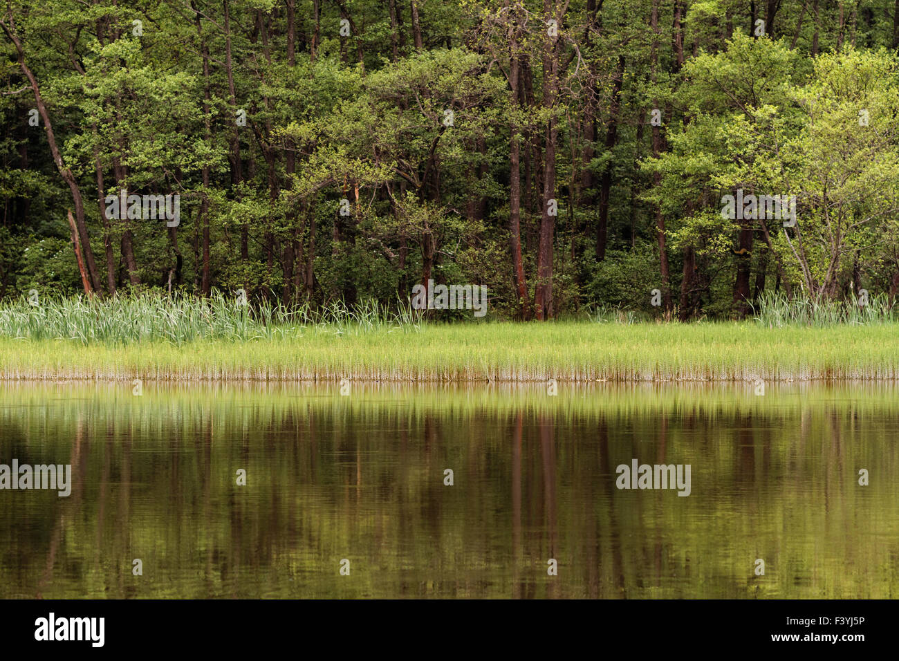 Big lake hi-res stock photography and images - Alamy