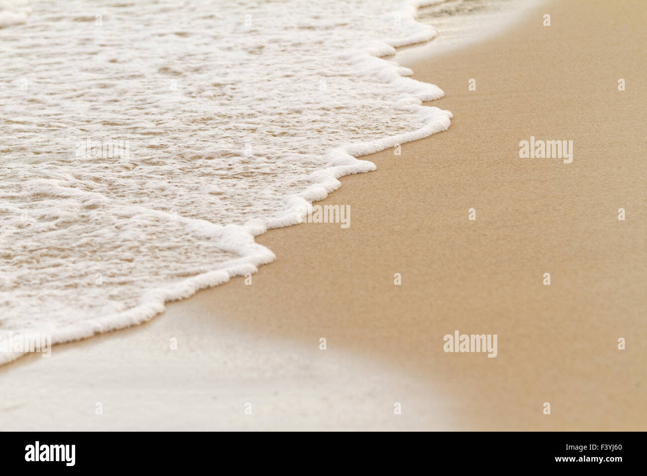 Summer exotic sandy beach hi-res stock photography and images - Alamy