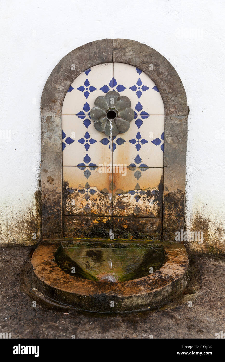 Natural Spring Fountain