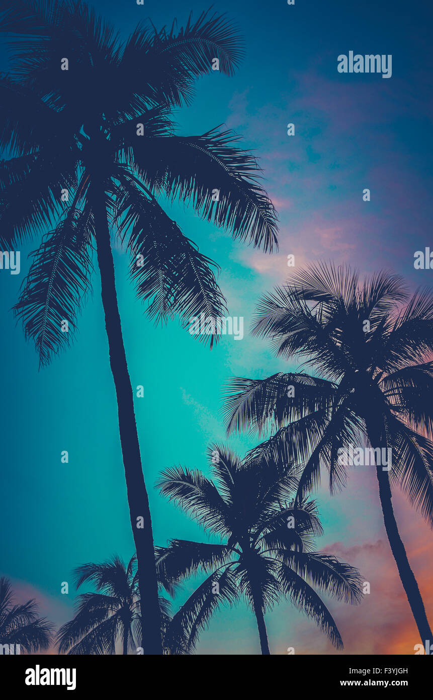 Retro Sunset Hawaii Palm Trees Stock Photo - Alamy