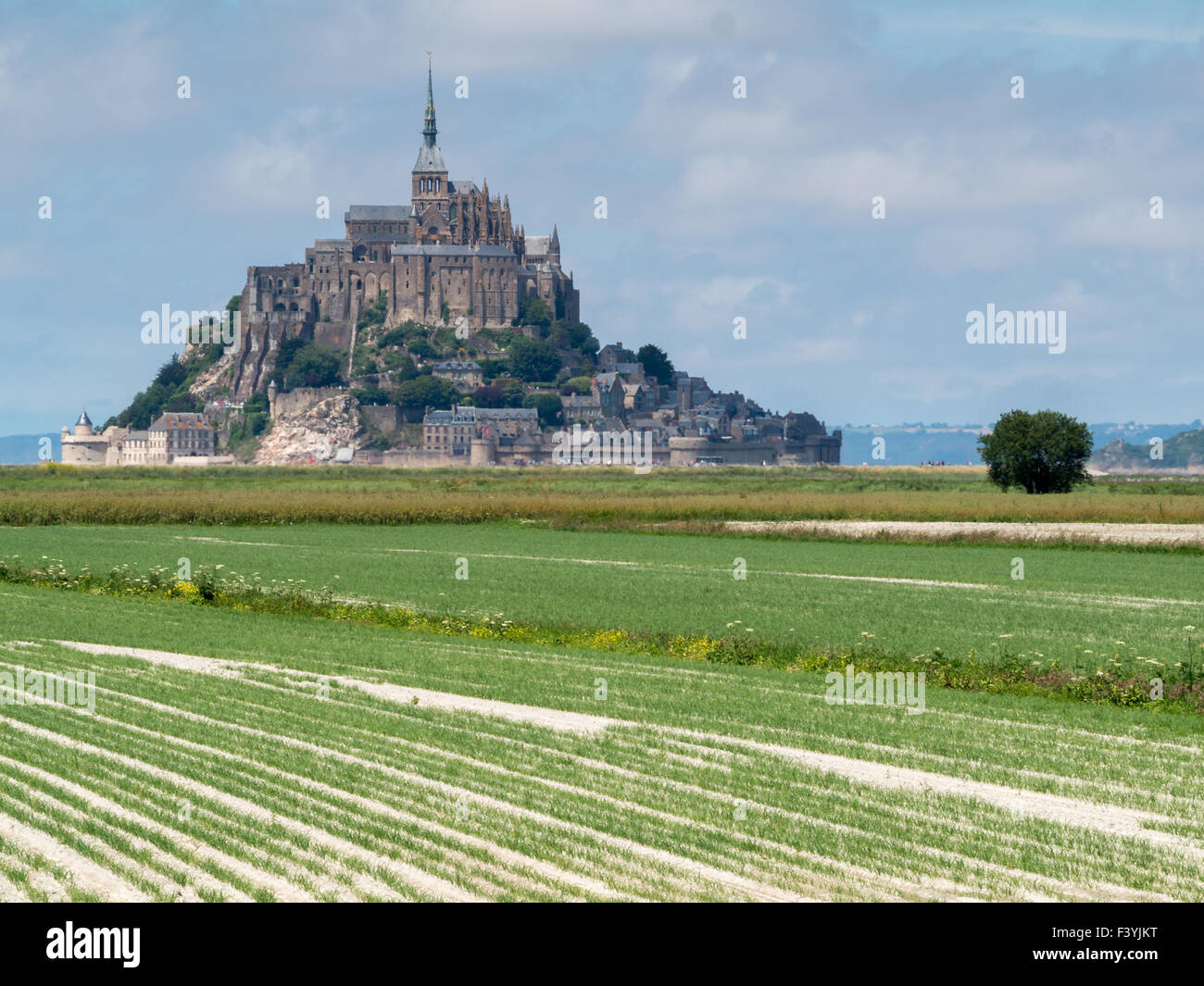 Green fields in normandy france hi-res stock photography and images - Alamy