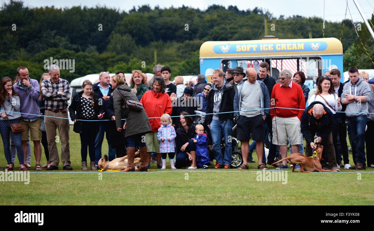 Entrants in a country fair dog race preparing in a laid back fashion ...