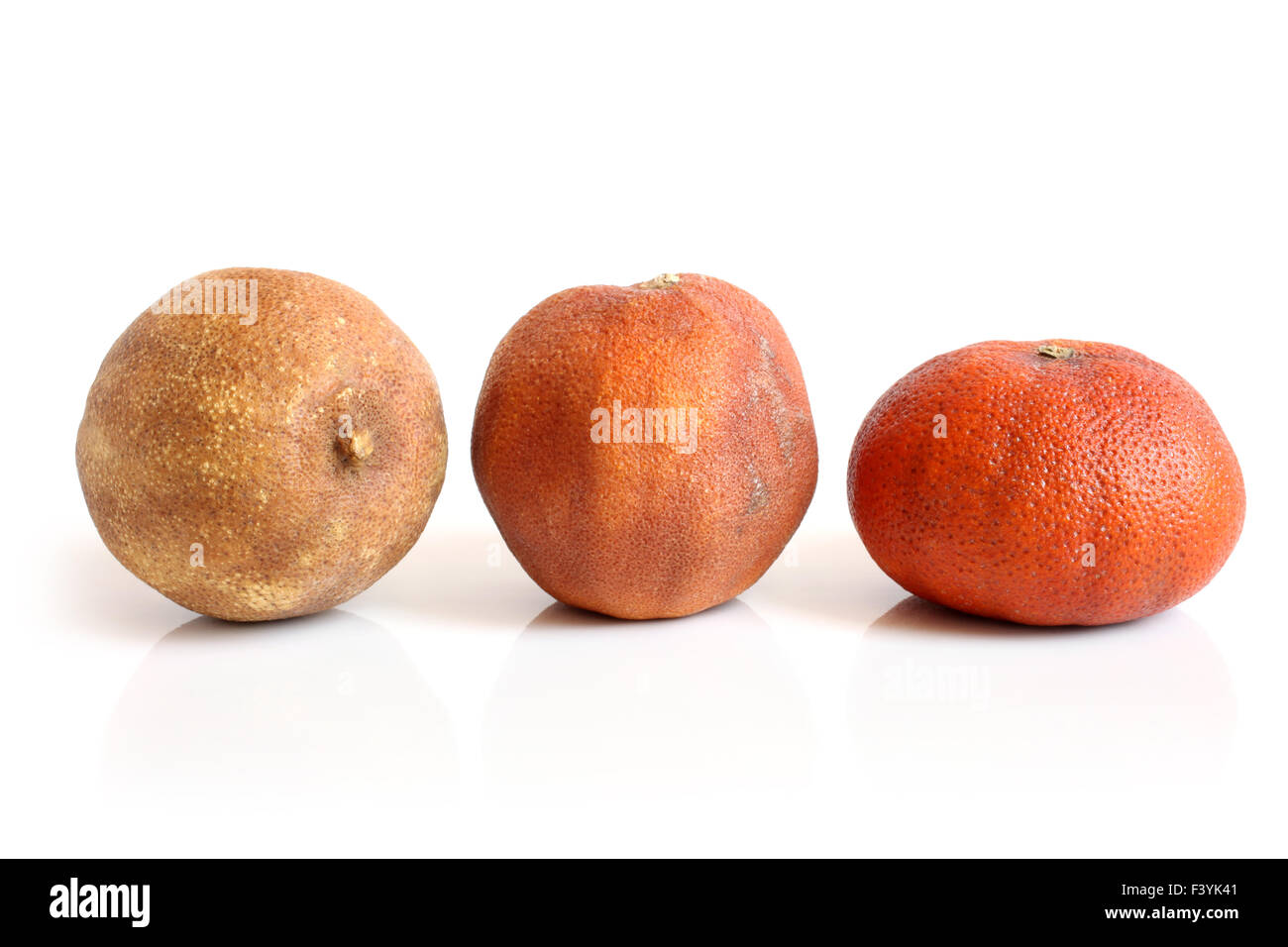 Rotten tangerine hi-res stock photography and images - Alamy