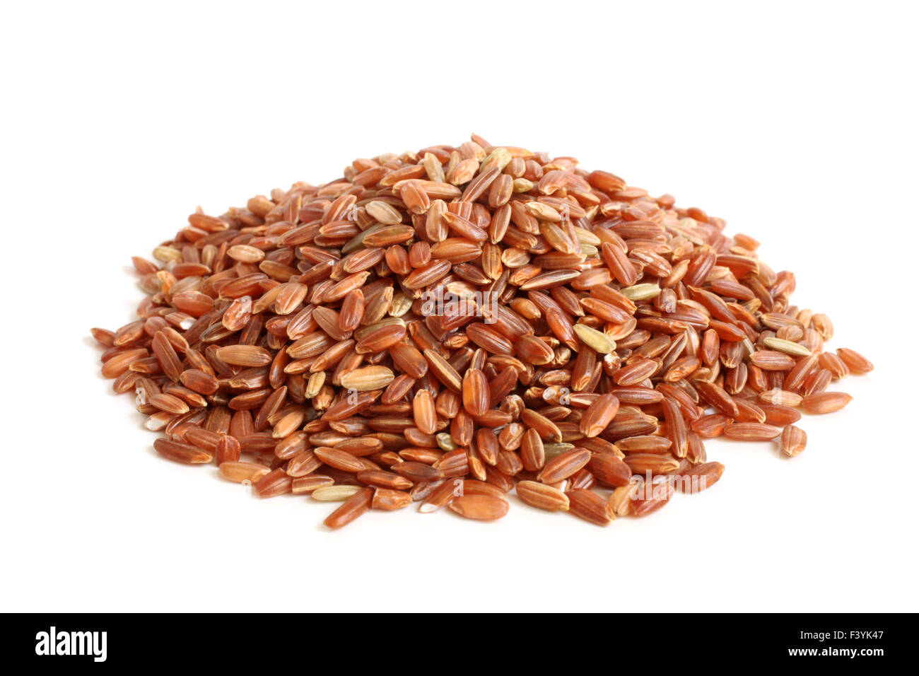 Rice seed germination Cut Out Stock Images & Pictures - Alamy