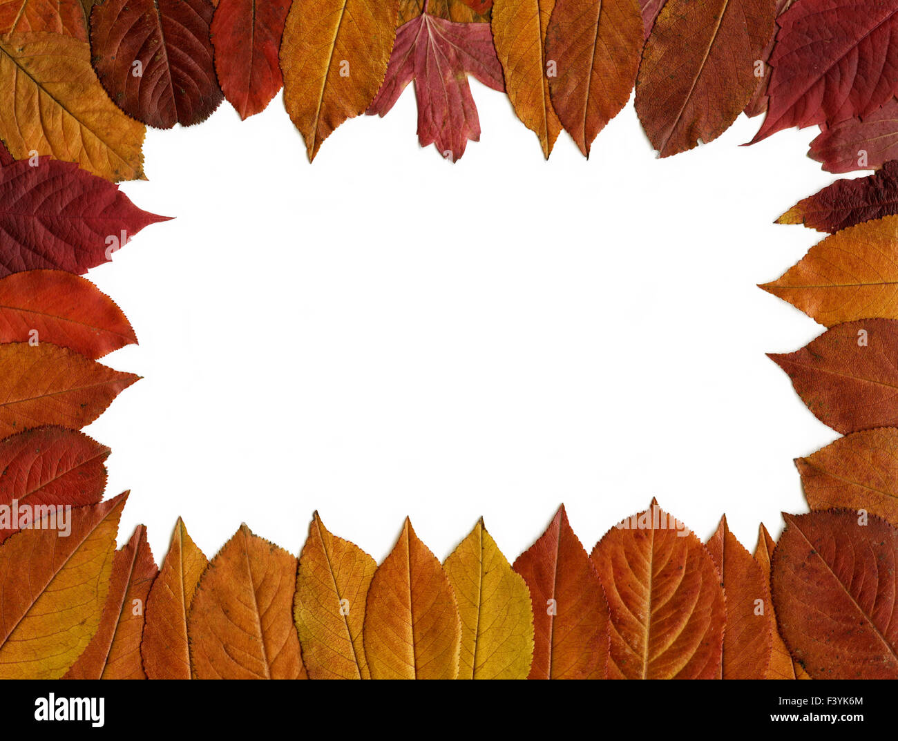 Red autumn leaves frame Stock Photo - Alamy