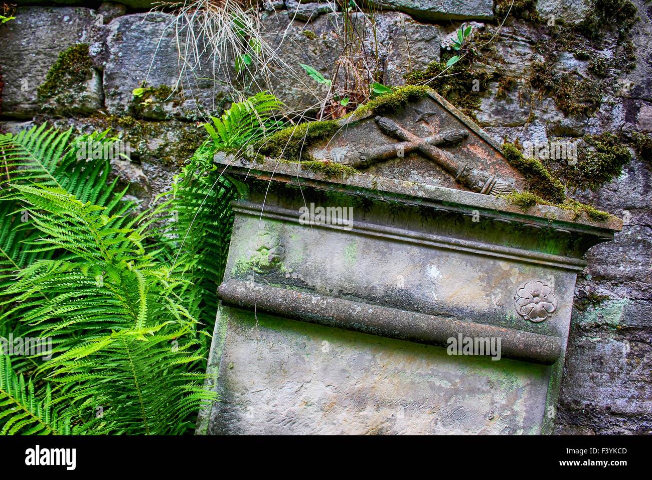 Farn symbol hi-res stock photography and images - Alamy