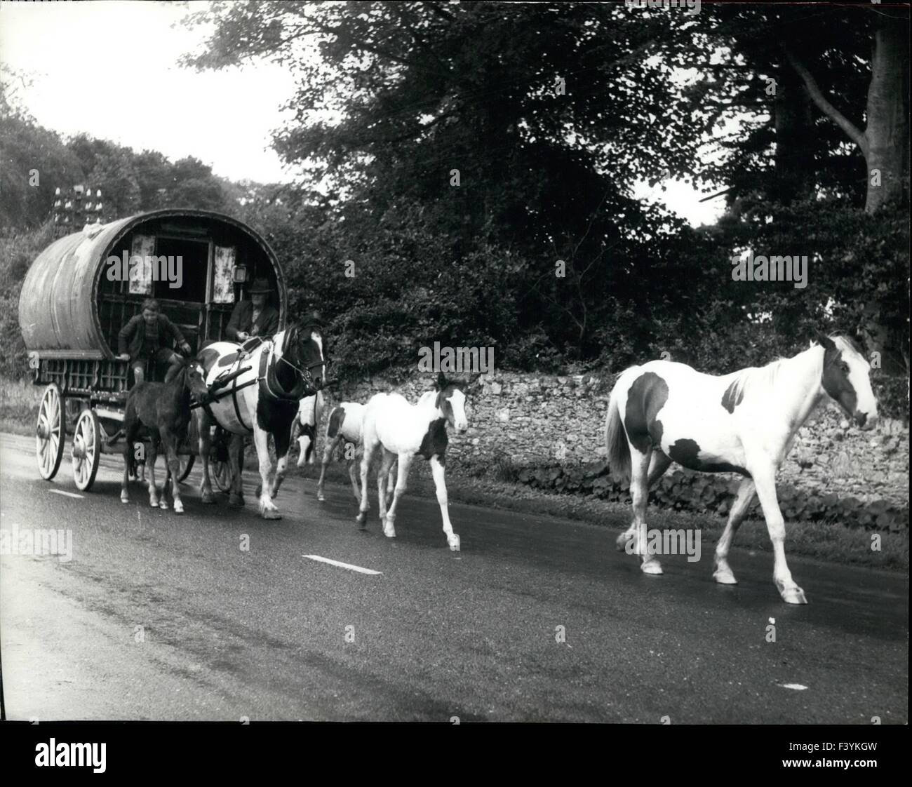 Irish tinkers hi-res stock photography and images - Alamy