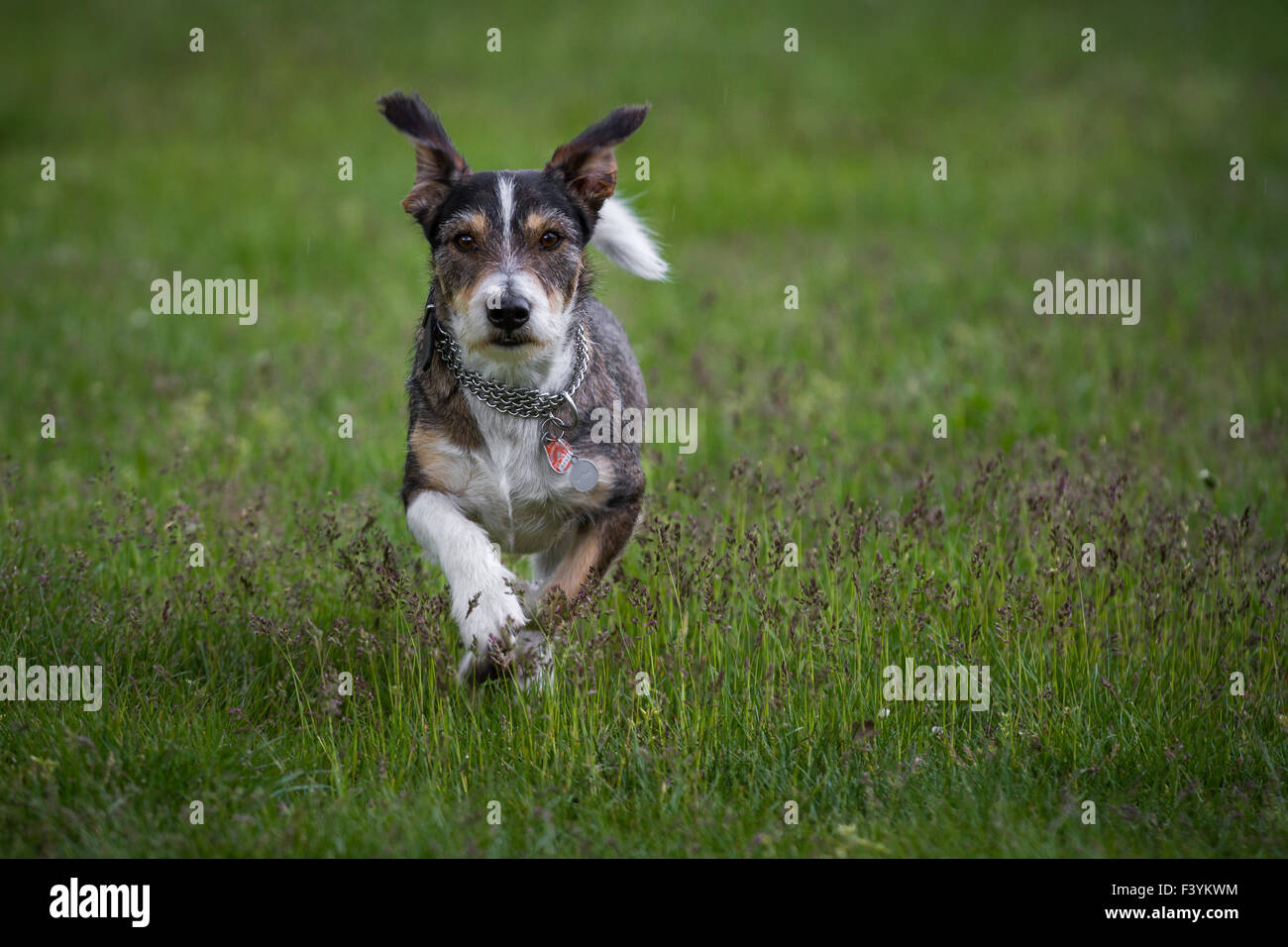Light rain hi-res stock photography and images - Alamy