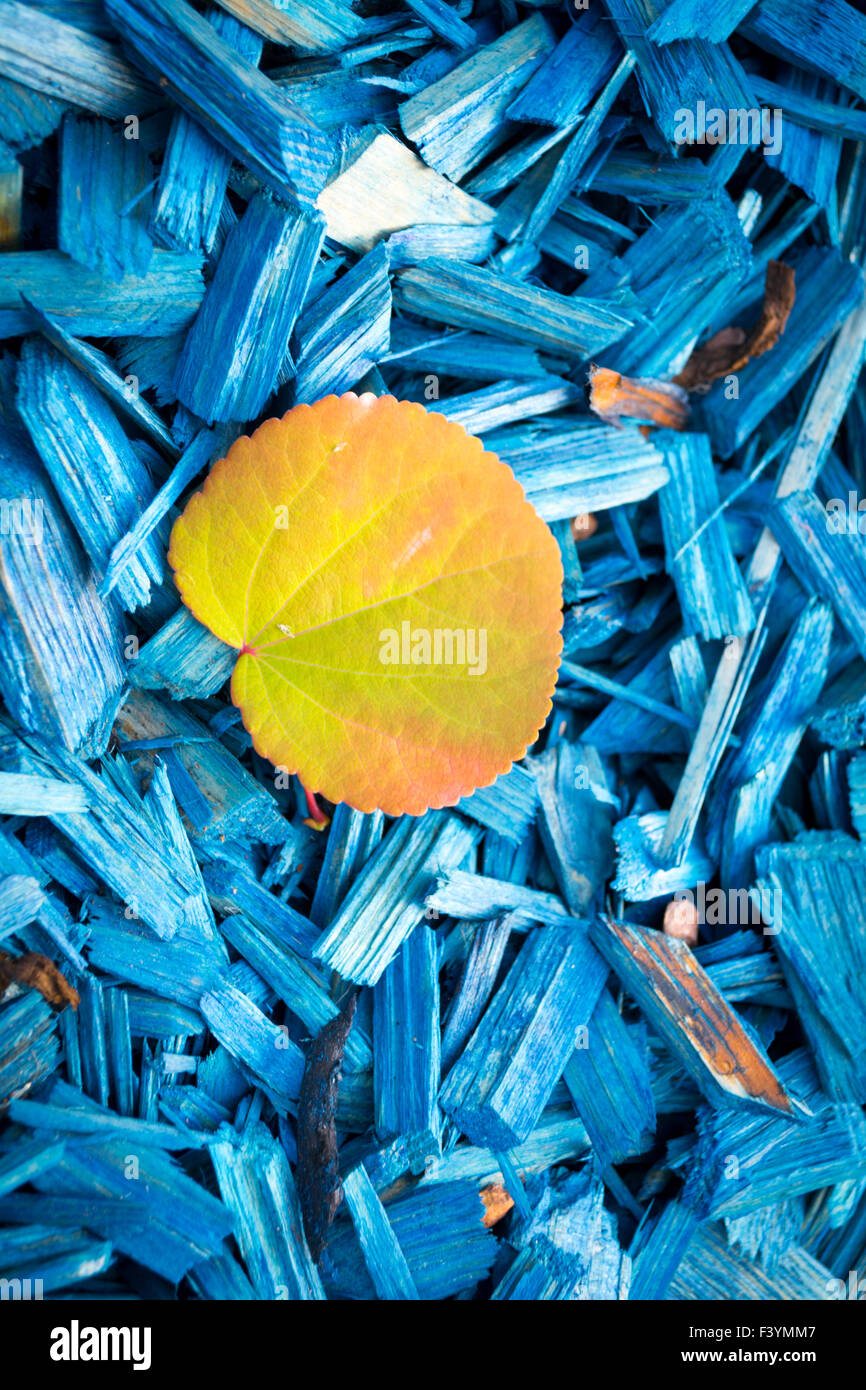 Leaf pieces hi-res stock photography and images - Alamy