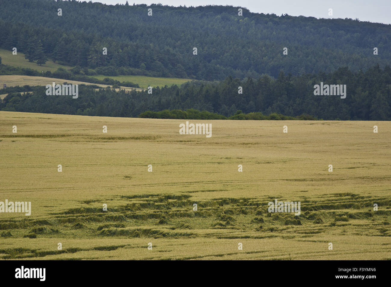 Field damage hi-res stock photography and images - Alamy