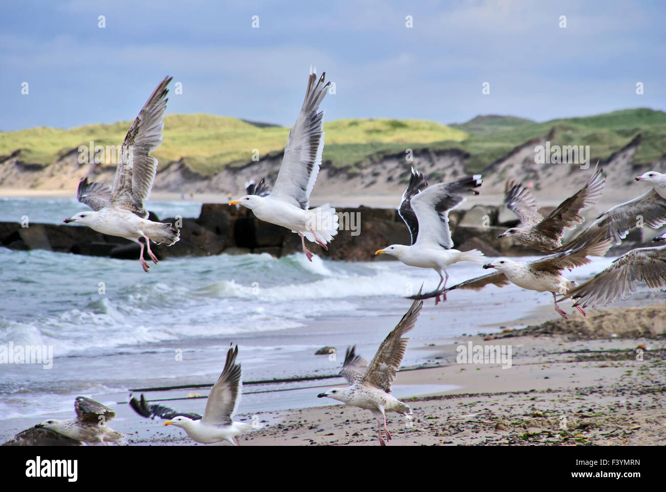 Updraft hi-res stock photography and images - Alamy
