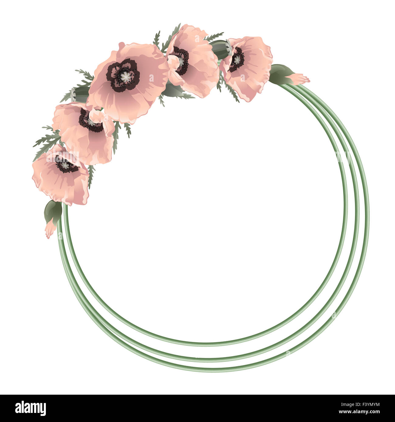 Pink round flower Cut Out Stock Images & Pictures - Alamy