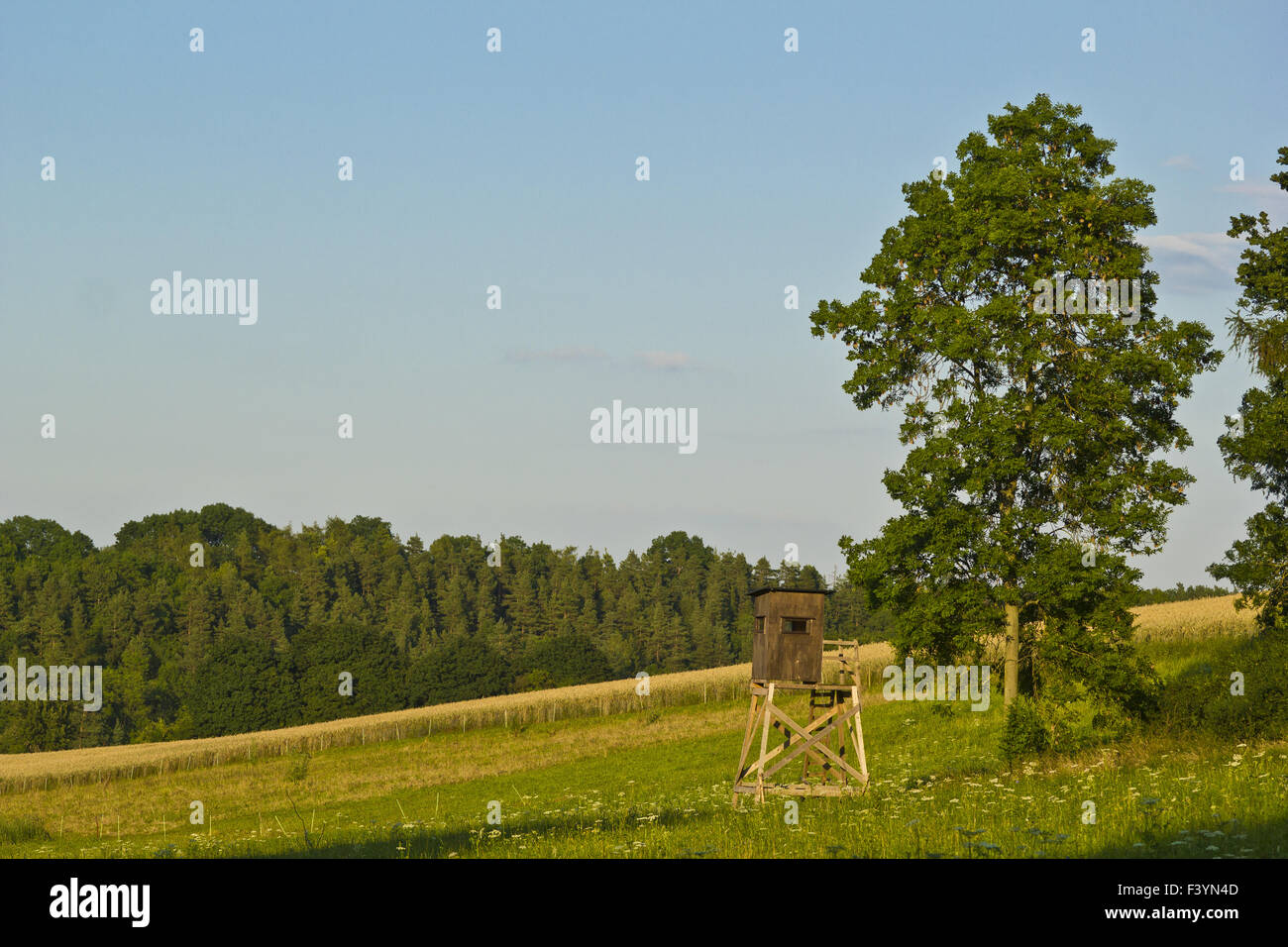 Landscape with hunters stand hunting Stock Photo - Alamy