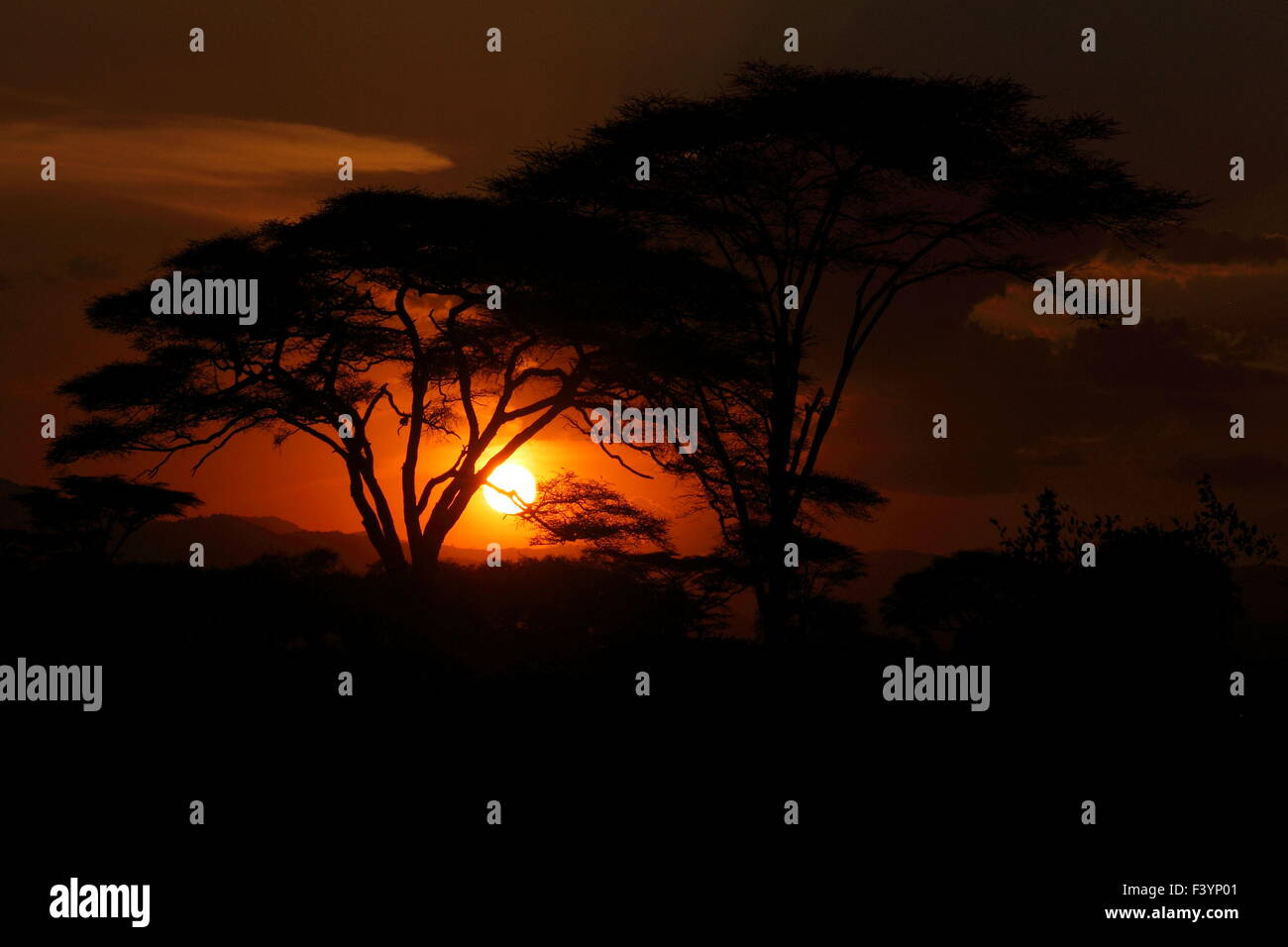 African sunset hi-res stock photography and images - Alamy