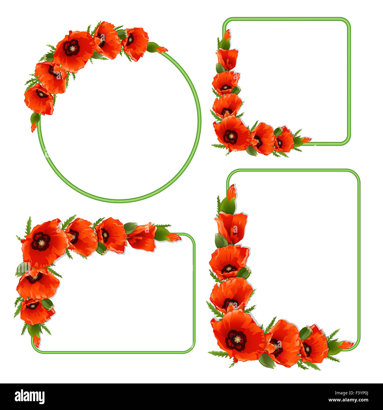 Botanic frame Cut Out Stock Images & Pictures - Alamy