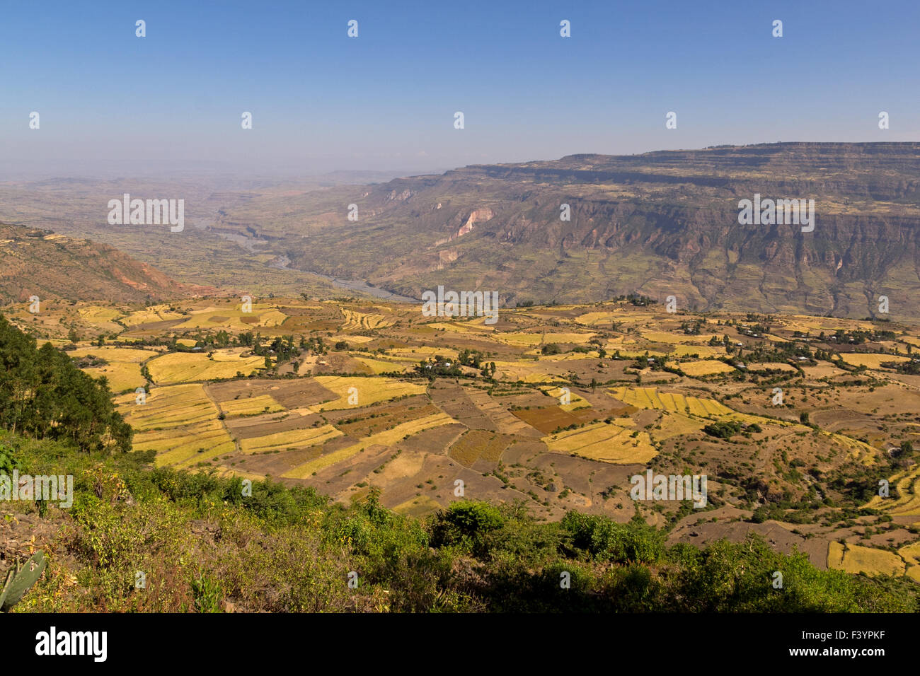 Canyon terrassen hi-res stock photography and images - Alamy