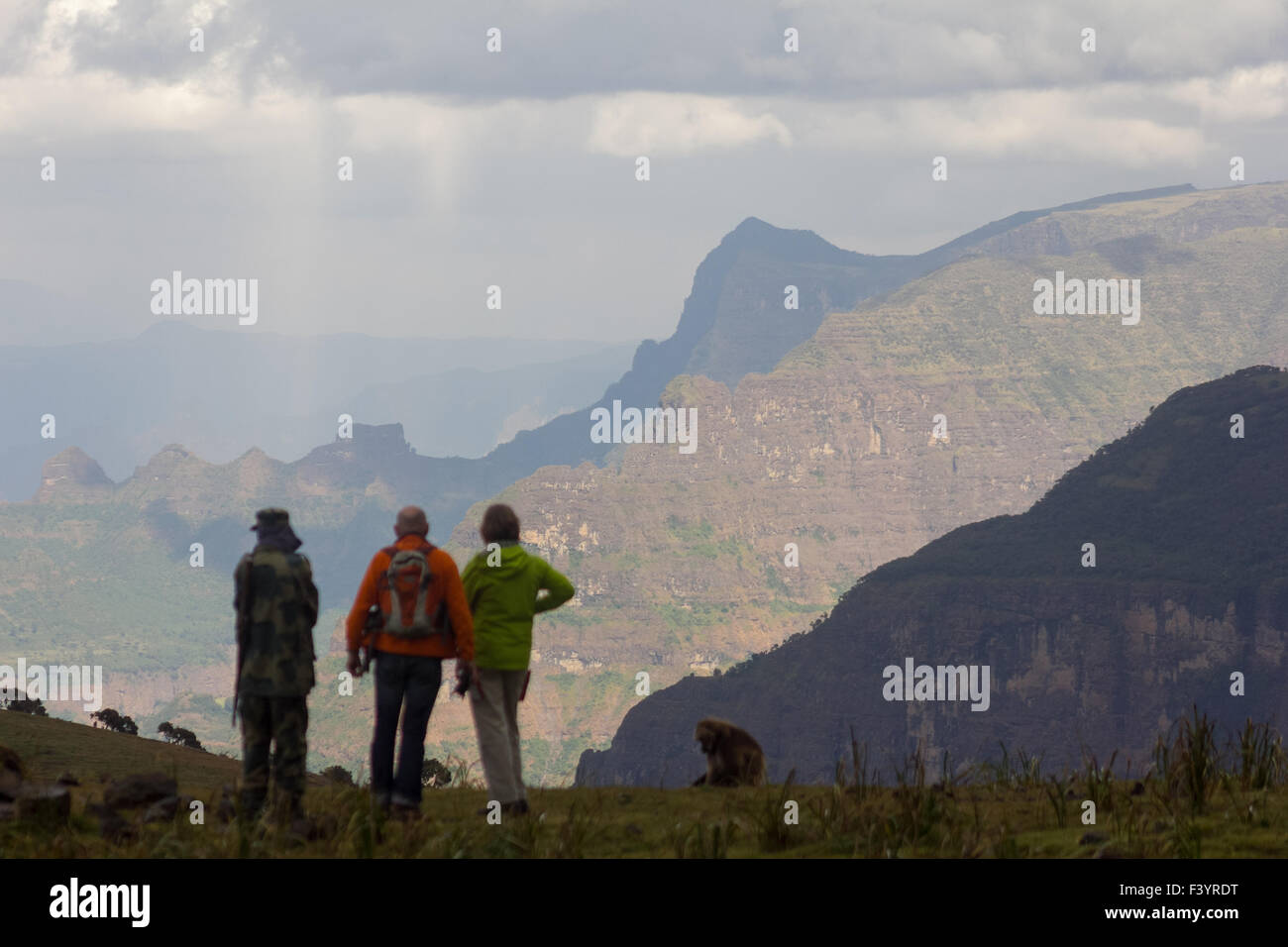 Simien nationalpark hi-res stock photography and images - Alamy