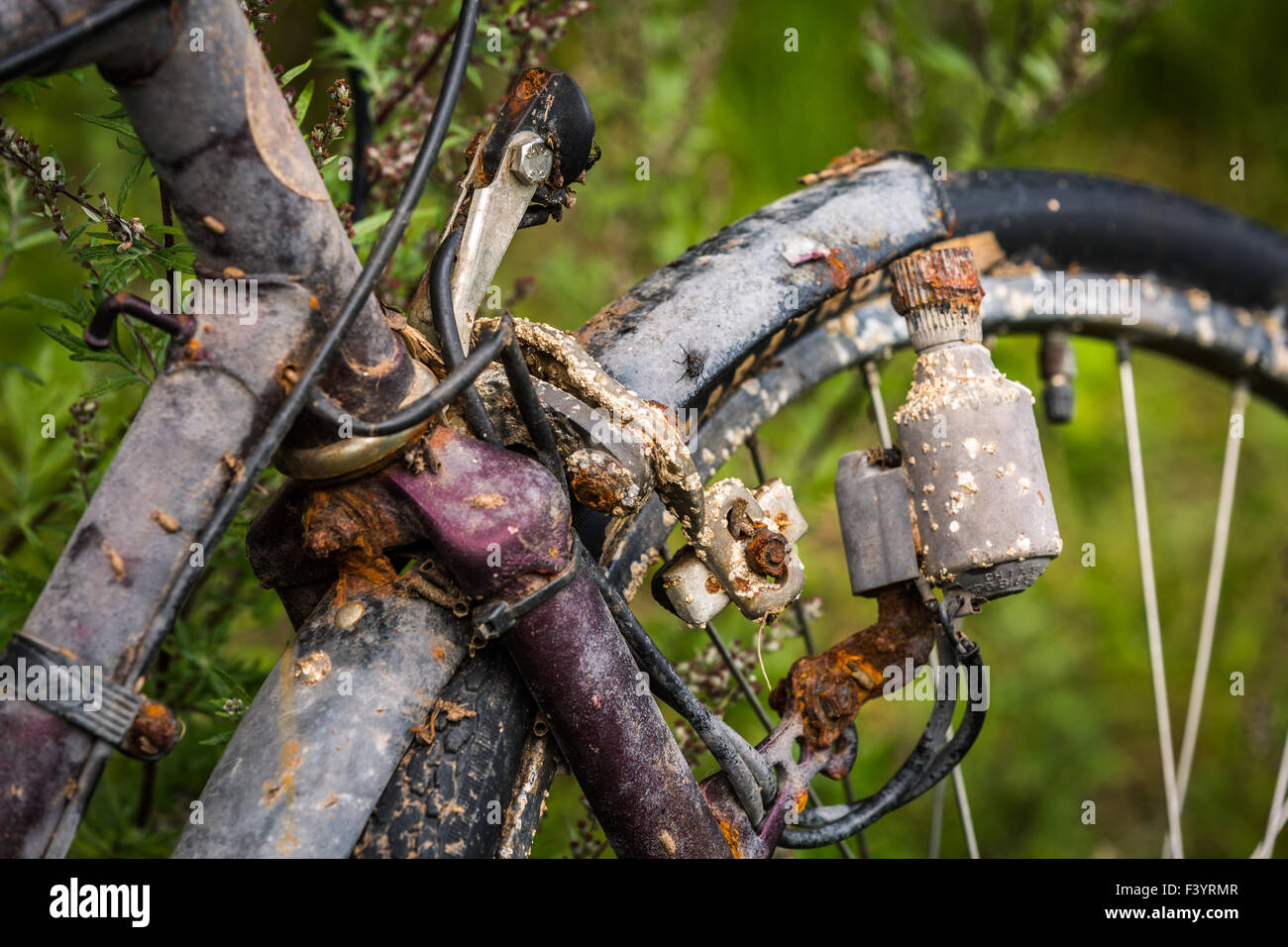 Bike patina hi-res stock photography and images - Alamy