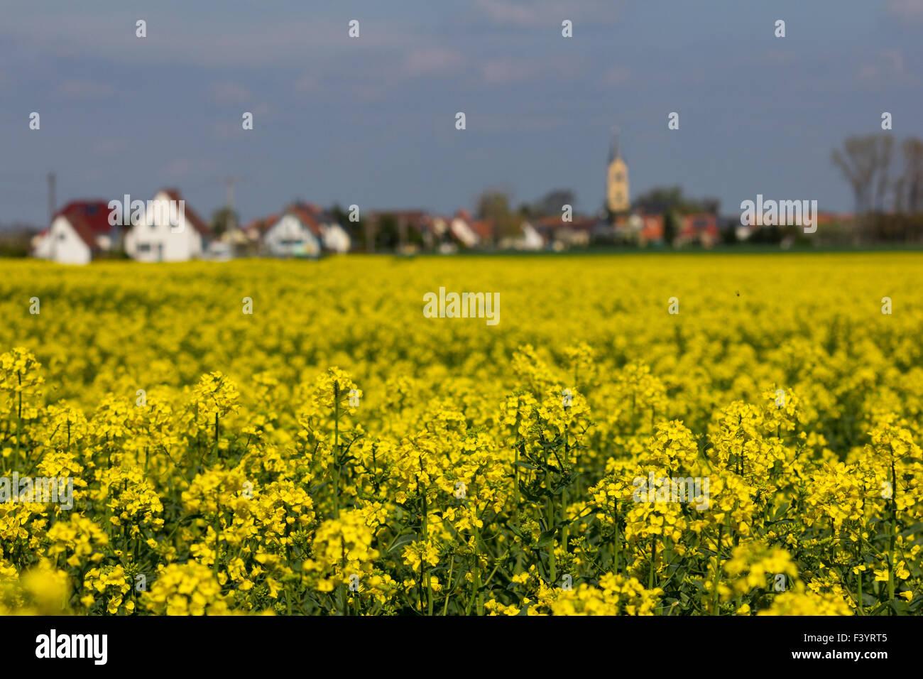 Repc hi-res stock photography and images - Alamy