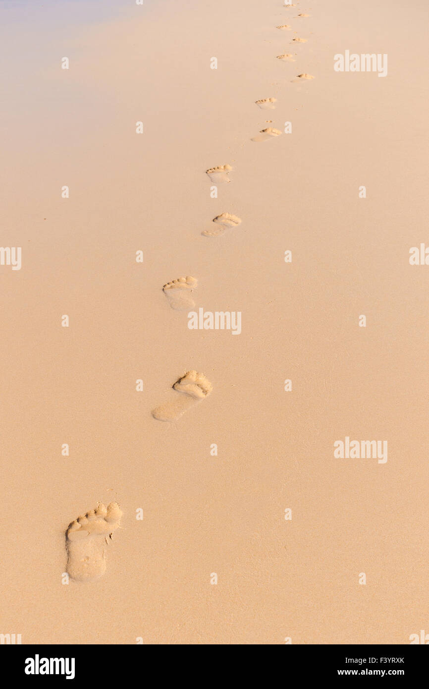 Leave footprints not trash sign hi-res stock photography and images - Alamy