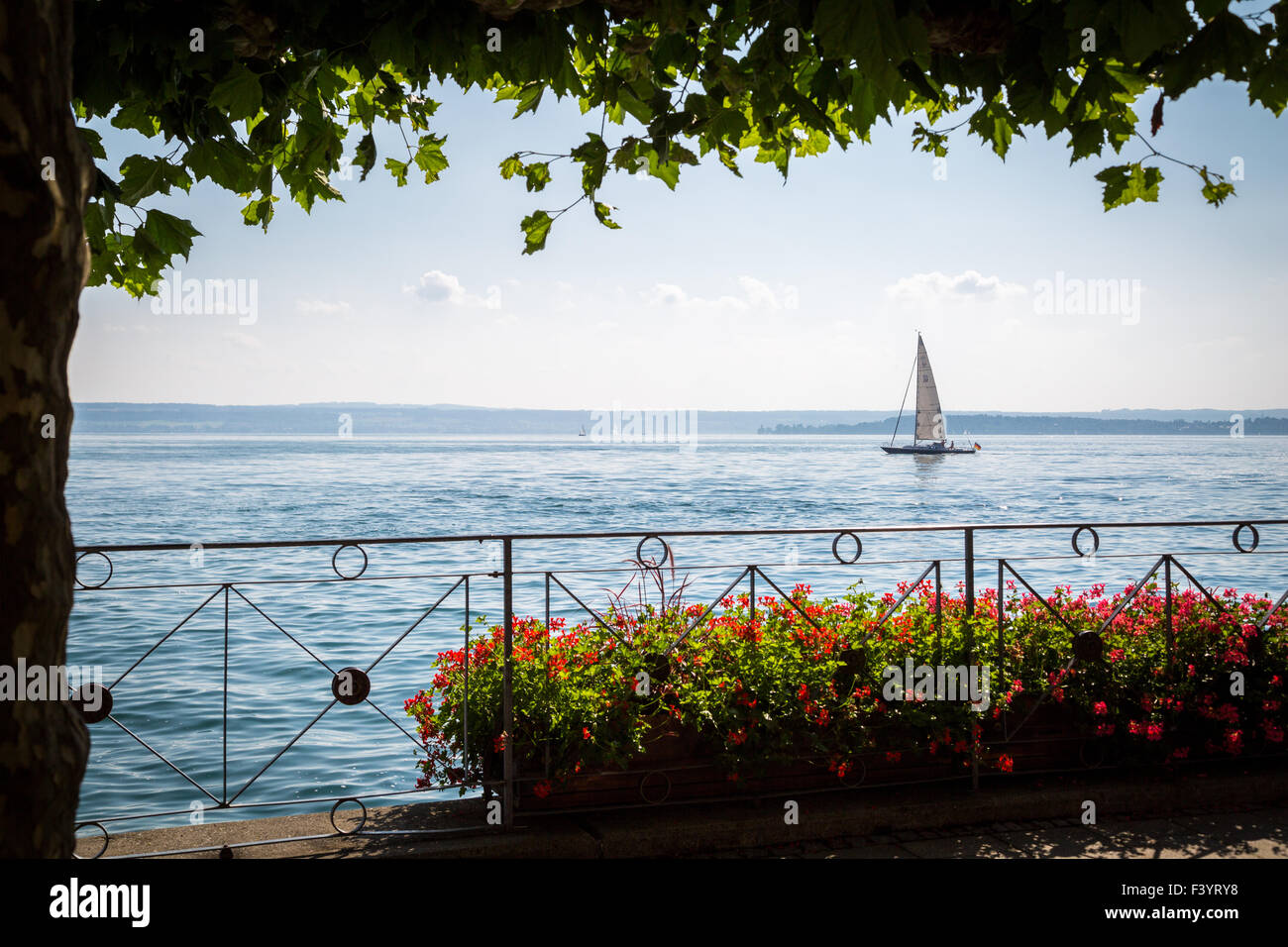 Sailboat on Lake Constance Stock Photo - Alamy