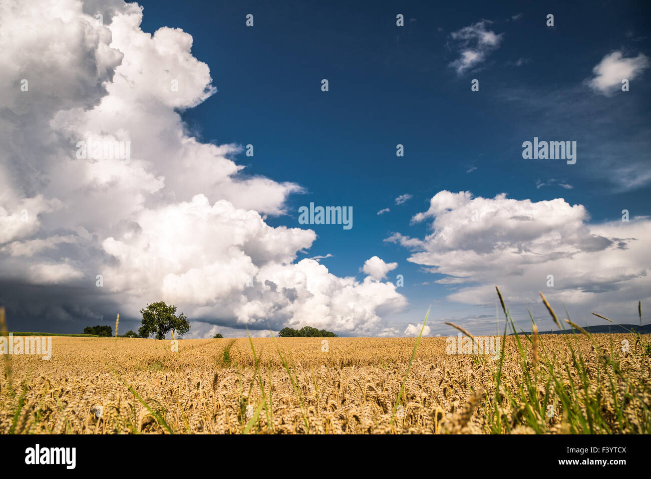 A storm is brewing Stock Photo - Alamy