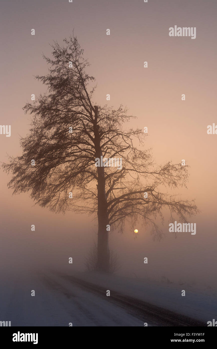 Mist weg hi-res stock photography and images - Alamy