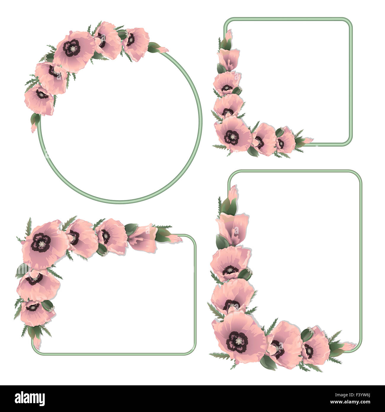 Botanic frame Cut Out Stock Images & Pictures - Alamy