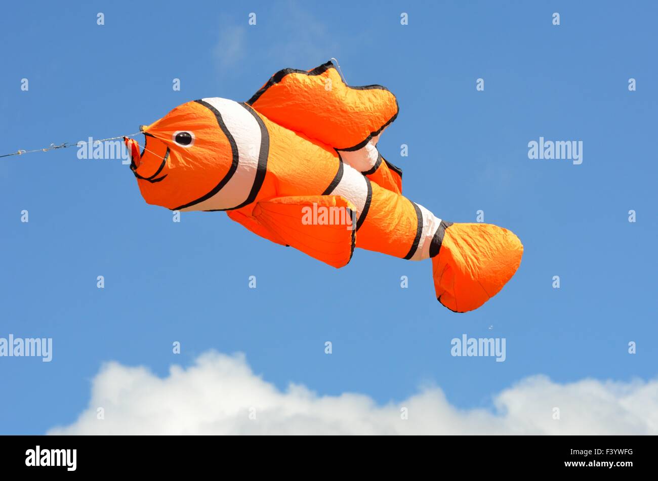 Goldfish kite hi-res stock photography and images - Alamy